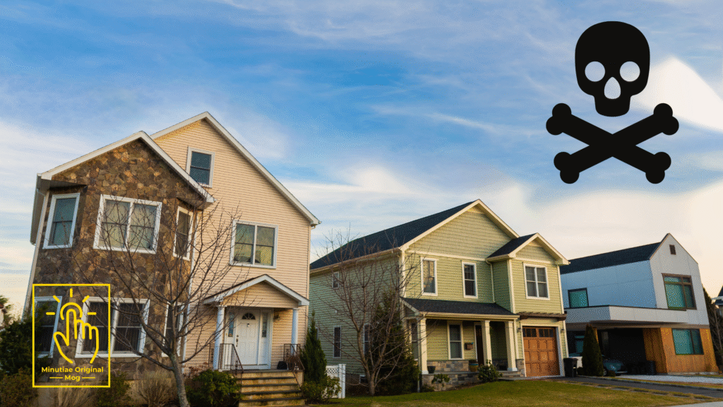 Mog Favour Musonda | Leadership Development Strategist, Entrepreneur ...